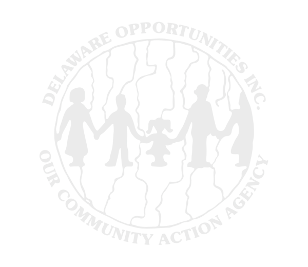 Home | Delaware Opportunities Inc.